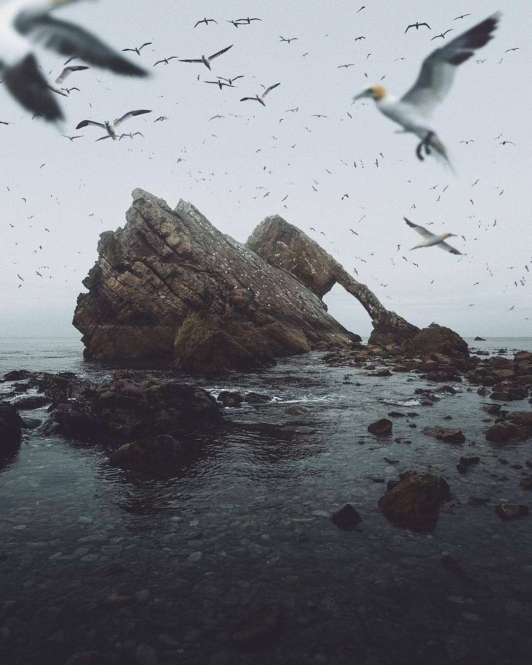 Create Stunning Photo Art with AI Photography Online